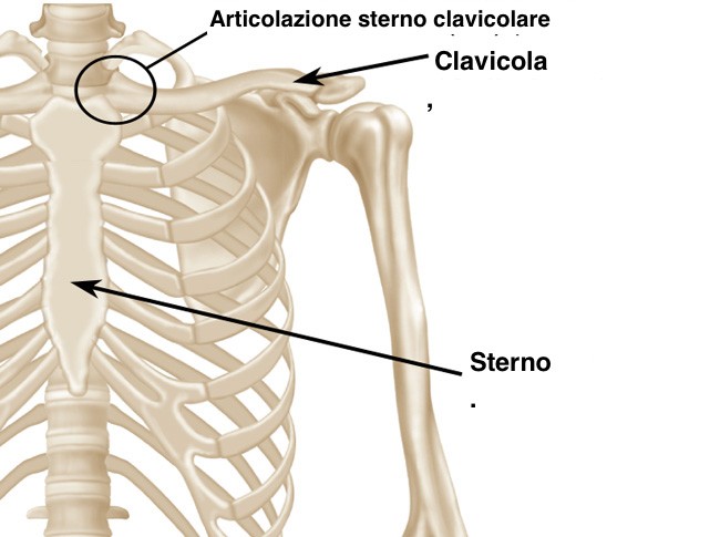 Gonfiore alla Base del Collo: Cause e Quando Preoccuparsi